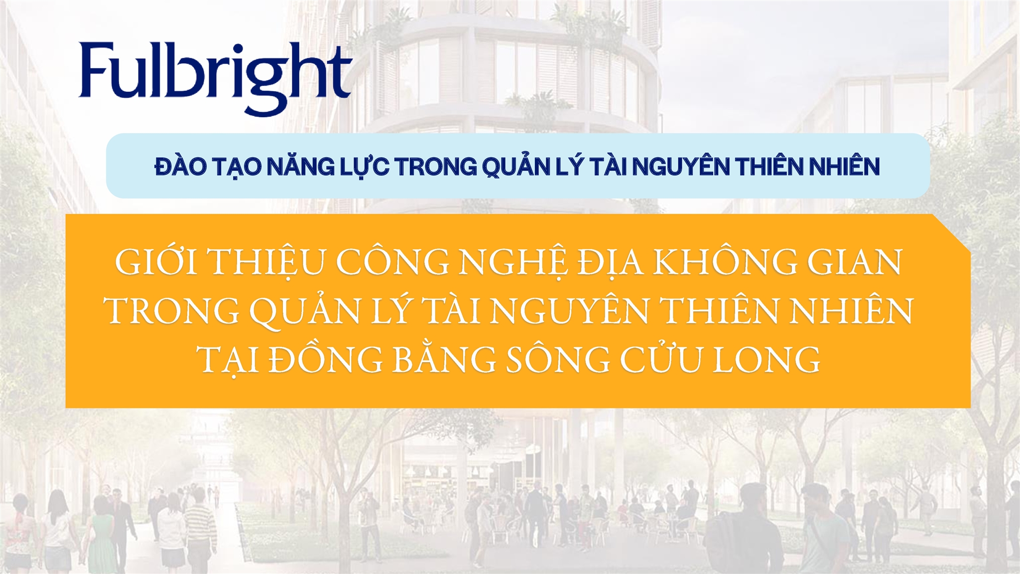 Trường Chính sách công và Quản lý Fulbright